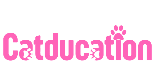 Why Do Cats Have Nightmares? Reasons And Mitigation Provided